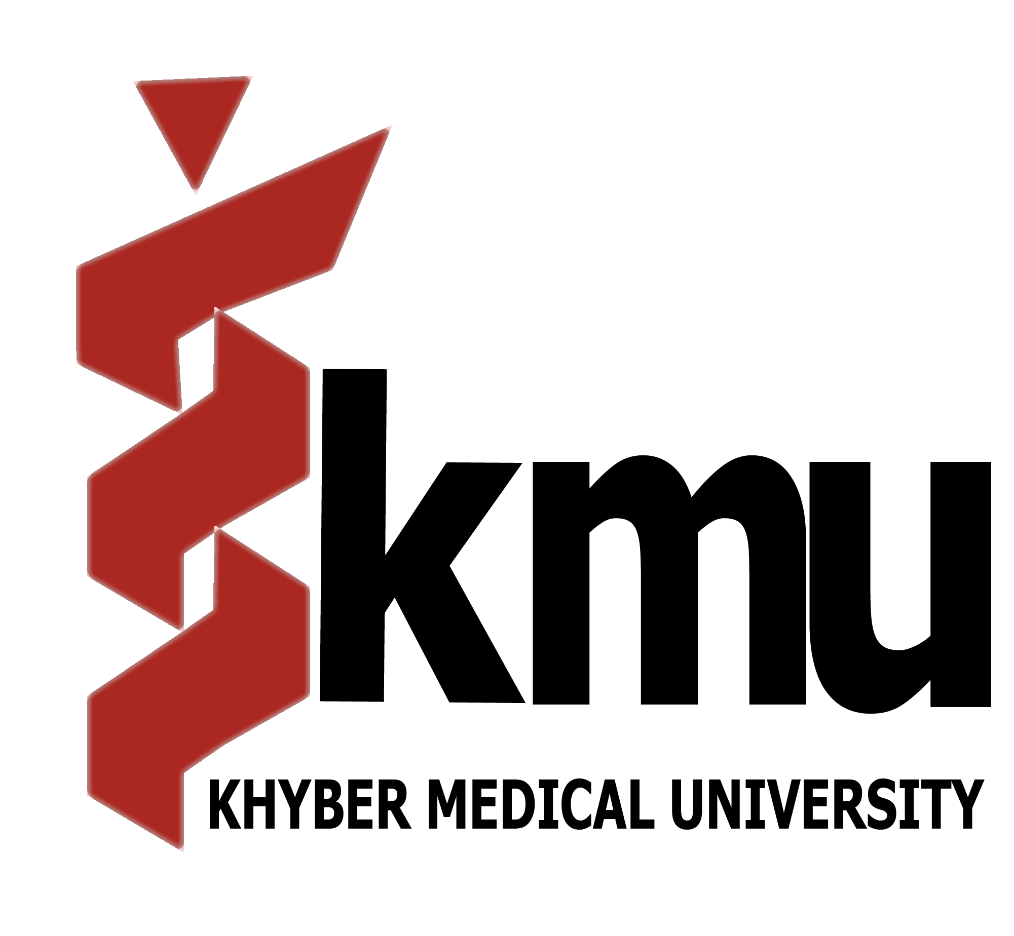 KMU CAT Test Preparation 2025