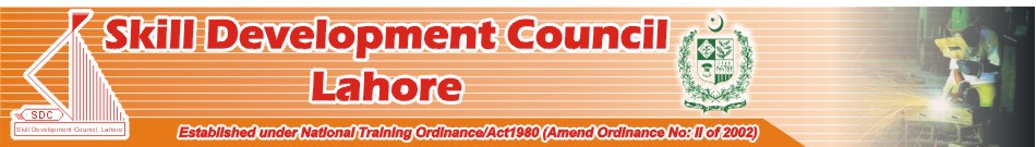 Skill Development Council Lahore Short, Professional Courses offered