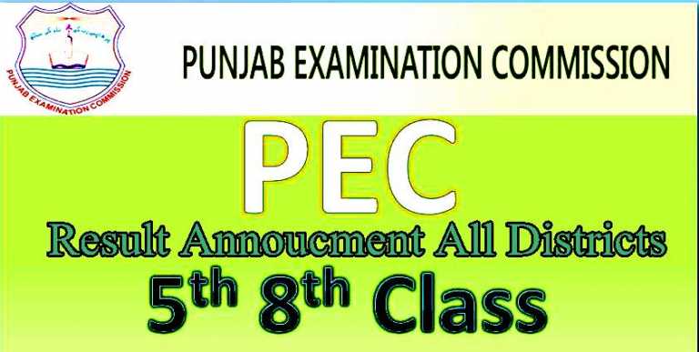 PEC Result 2025 Online By School and Roll Number Wise pec.edu.pk